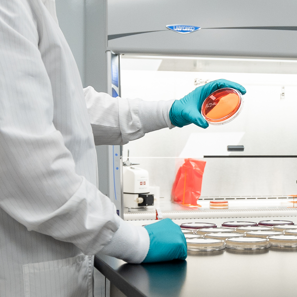 Laboratory Testing - Pharmaceutical & Medical Device