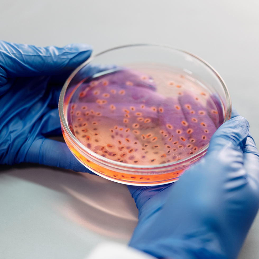 Laboratory Testing - Pharmaceutical & Medical Device