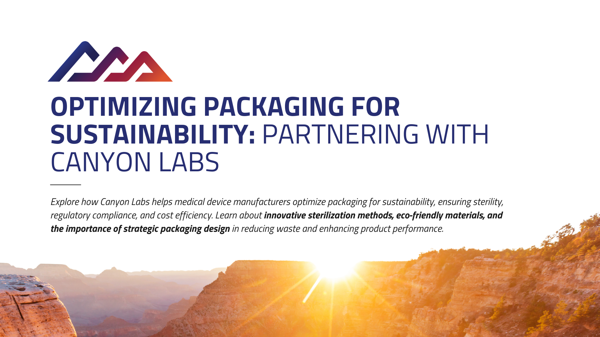 Optimizing Packaging for Sustainability - Canyon Labs