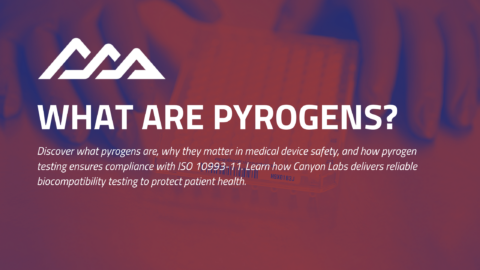 What Are Pyrogens? - Canyon Labs
