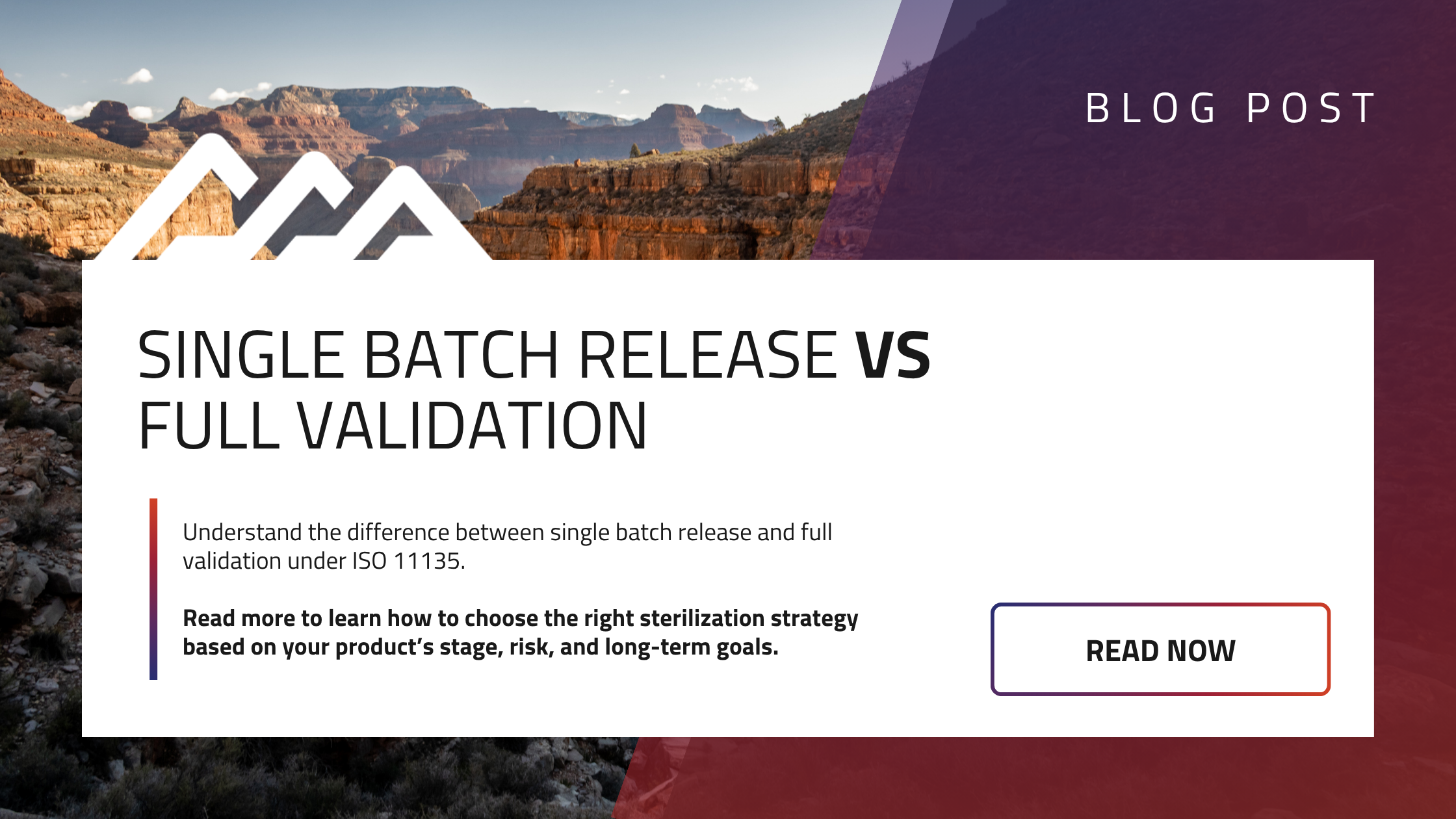 Single Batch Release vs. Full Validation